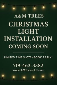 Christmas Light Installation – A&M Trees LLC